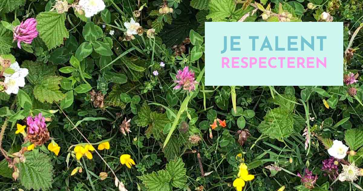 Je Talent Respecteren | Persoonljke Groei